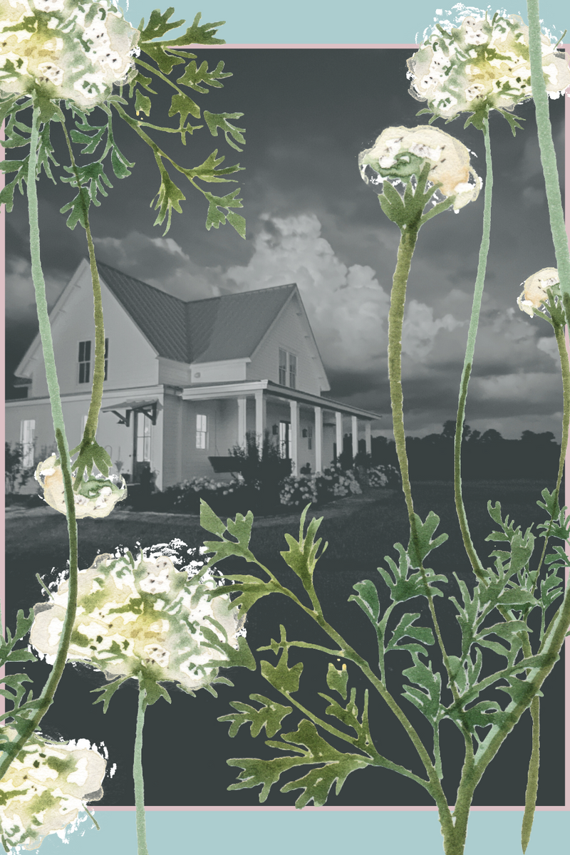 Welcome to Gray Gables Home